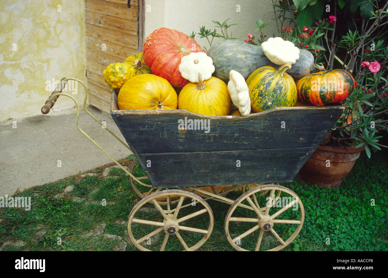 pumpkins on hay trailer Stock Photo - Alamy