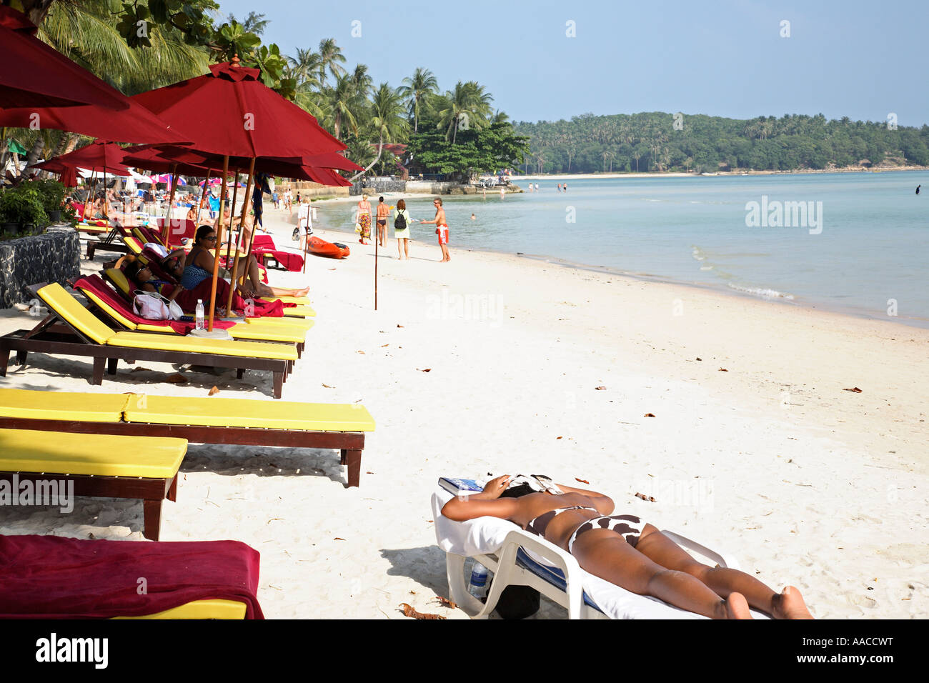 Chaweng beach Koh Samui Thailand Stock Photo - Alamy