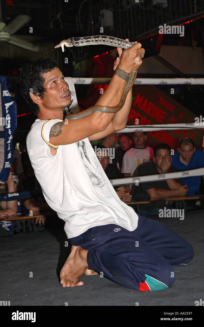 Snake charmer Thai boxing Pattaya Thailand Stock Photo - Alamy