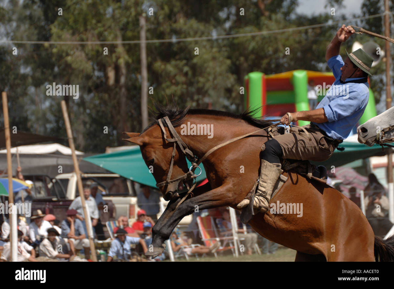 Taming a horse hi-res stock photography and images - Alamy