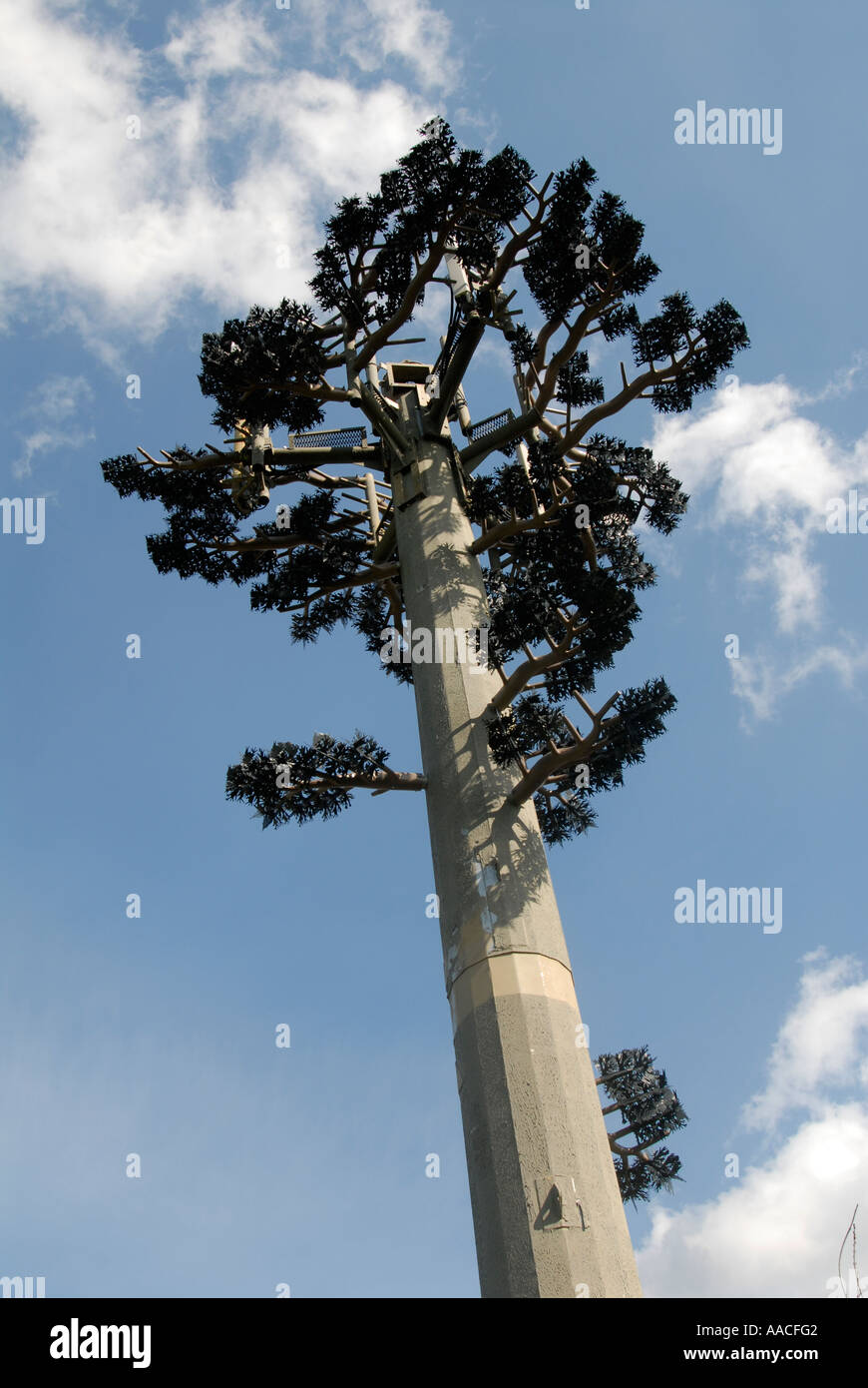 Mobile phone mast disguised as a tree hi-res stock photography and ...
