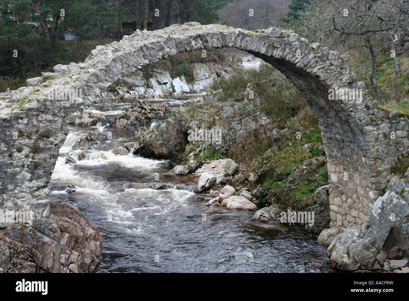 Carrbridge ancient arch bridge scotland uk gb Stock Photo - Alamy