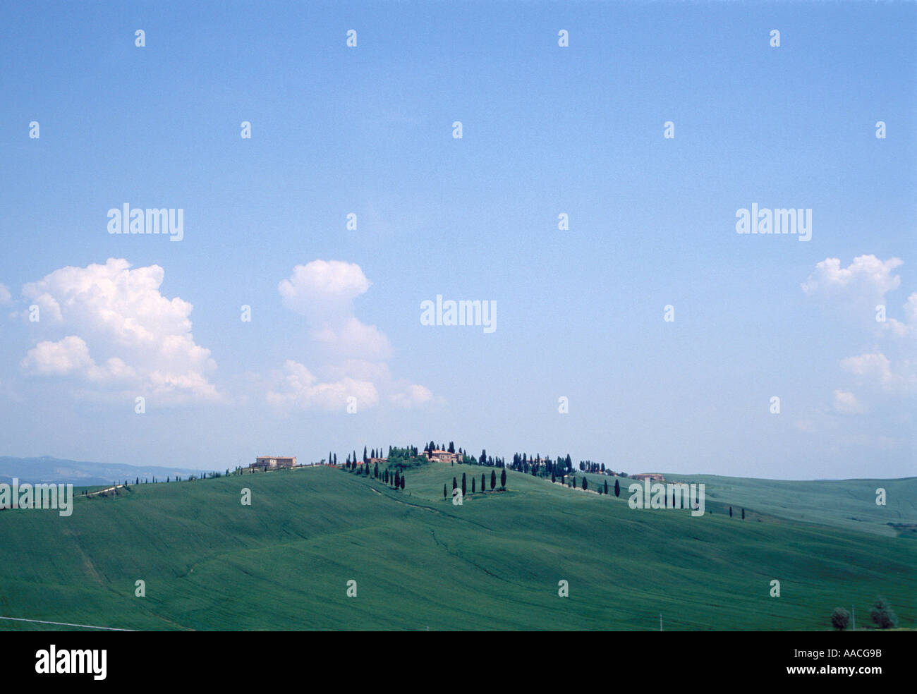 Tuscan landscape cluster trees hi-res stock photography and images - Alamy