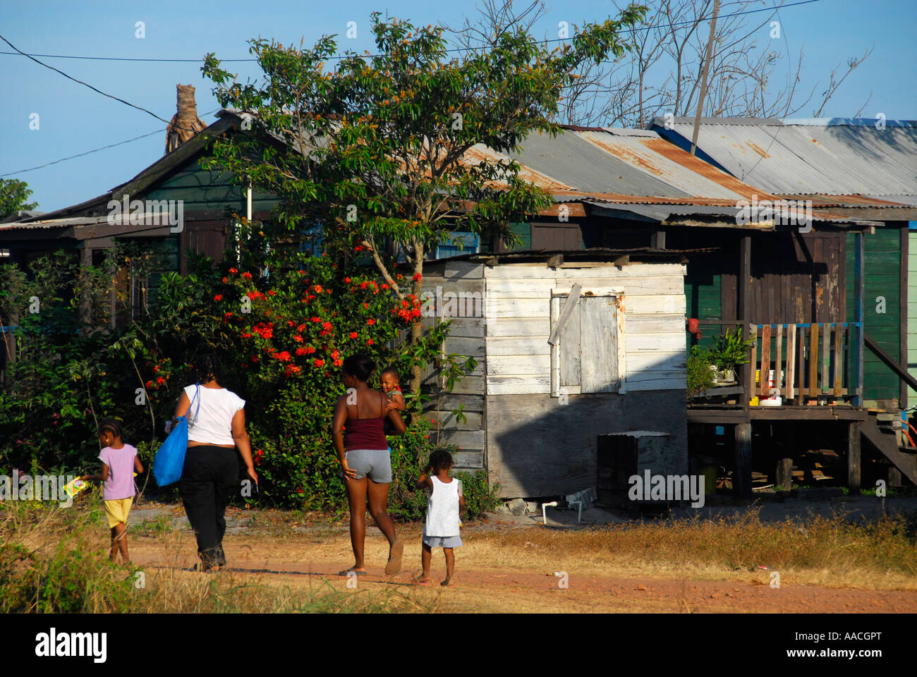 Seine Bight Village, Caribbean Sea coast of the Stann Creek District in ...