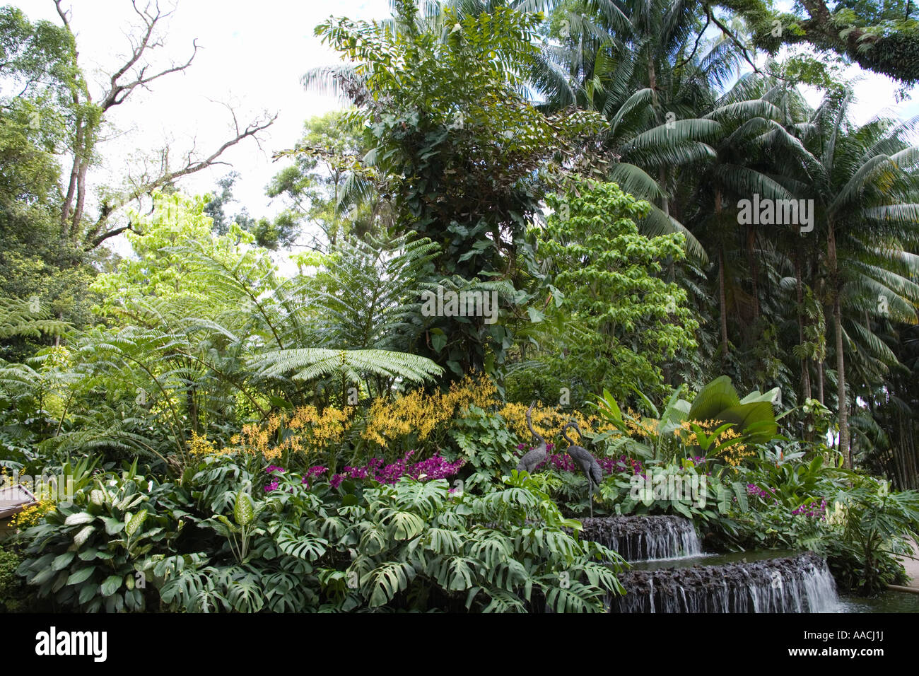 SINGAPORE ASIA May A decorative water feature in the Botanic Gardens ...
