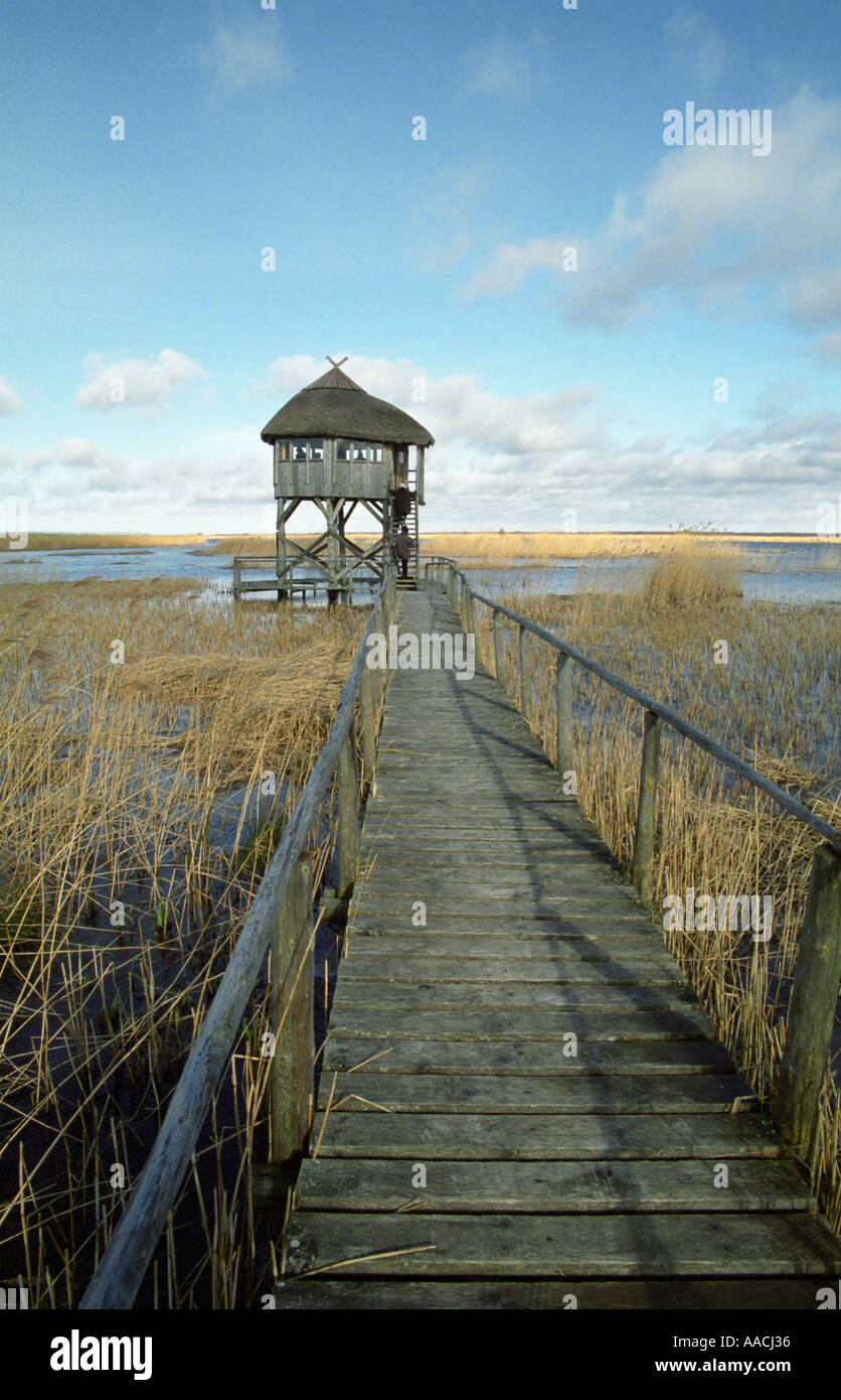 Bird watching tower at Pape lake Latvia Stock Photo - Alamy