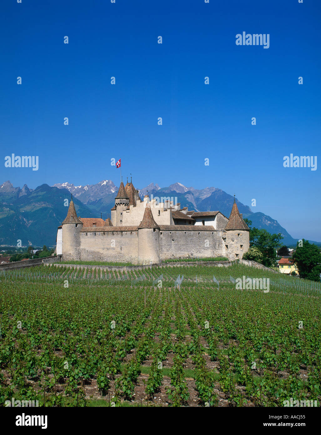 Chateau and Vineyards Aigle Vaud Canton Switzerland Stock Photo - Alamy