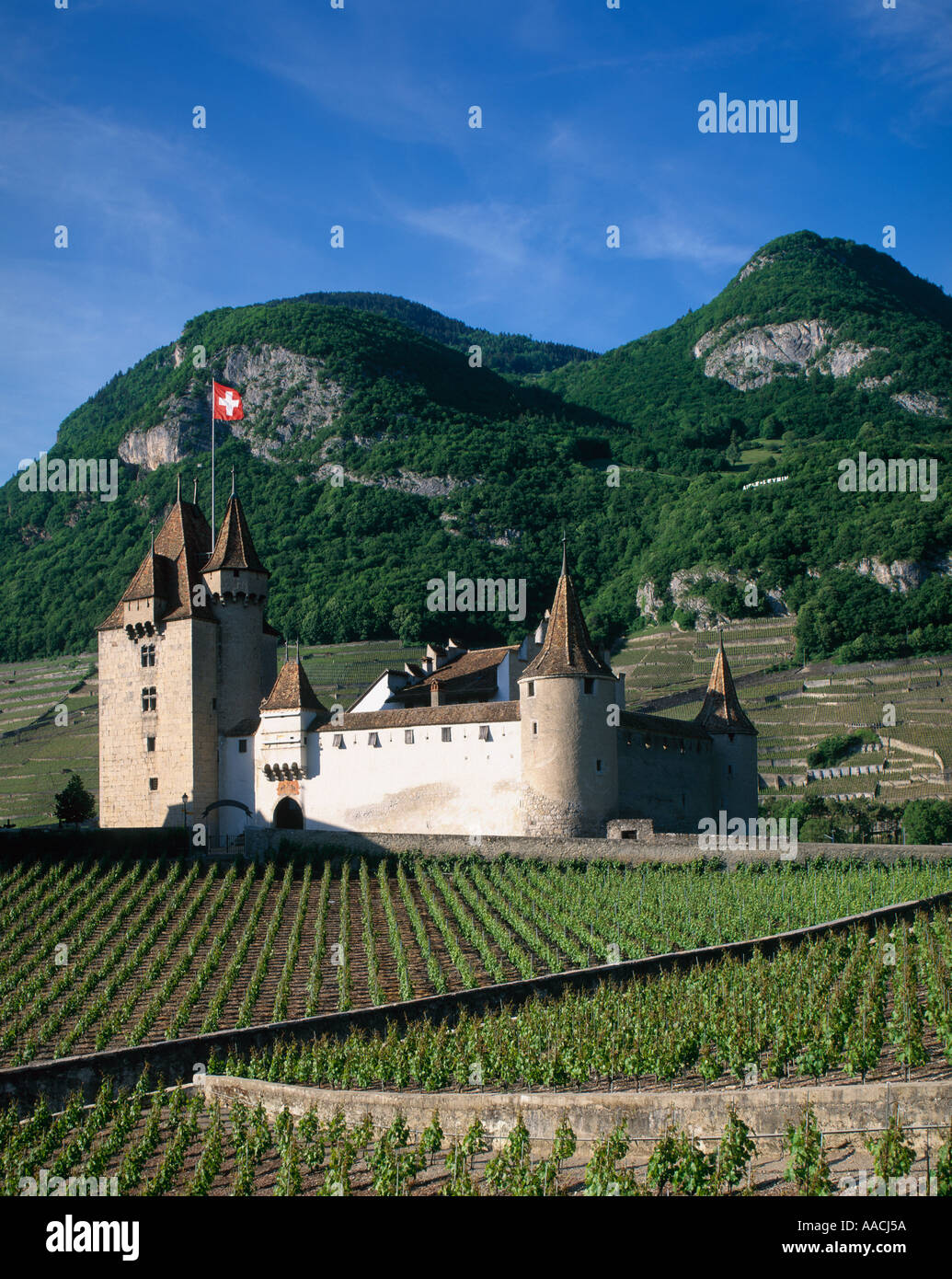Chateau and Vineyards Aigle Vaud Canton Switzerland Stock Photo - Alamy