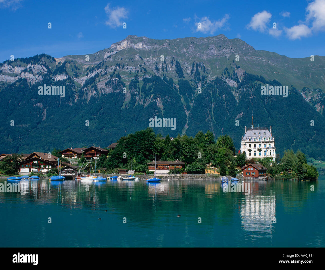 Iseltwald Lake Brienz Berne Canton Switzerland Stock Photo: 4108941 - Alamy