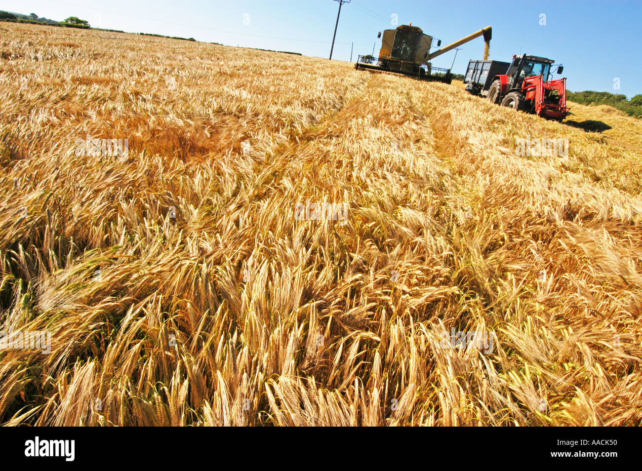 Combine Harvesters England Stock Photos & Combine Harvesters England ...