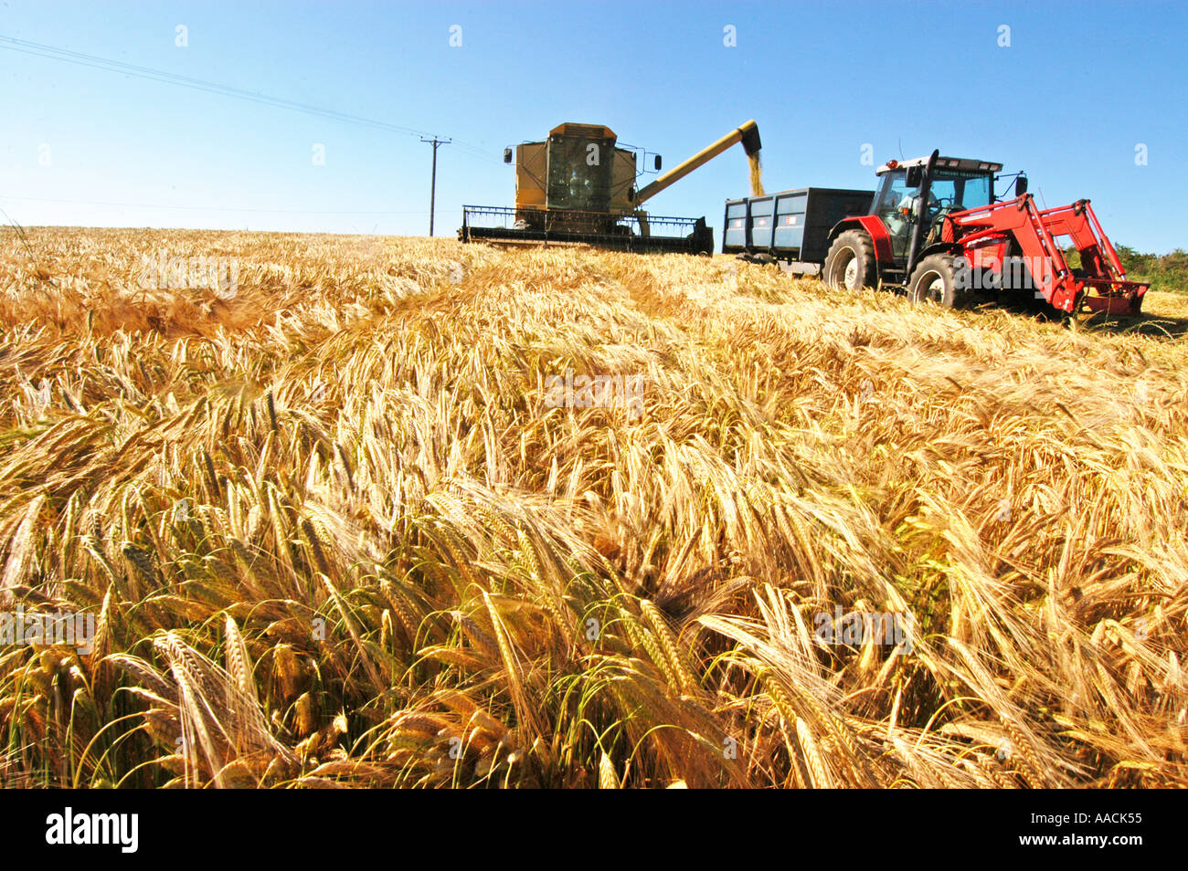 Combine harvesters Cornwall, England, Uk Stock Photo - Alamy