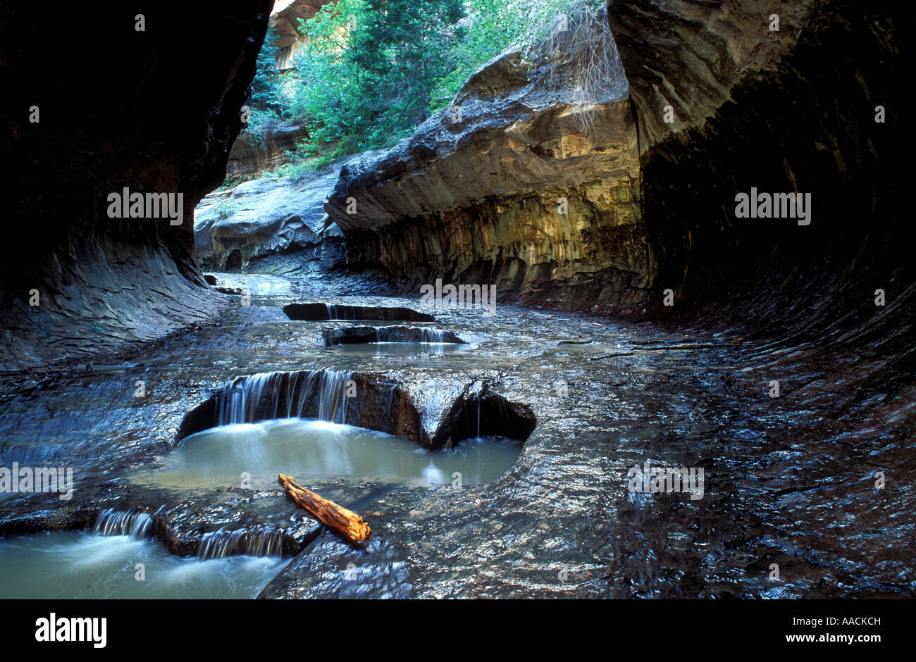 The Subway in Zion National Park, Utah, USA Stock Photo - Alamy
