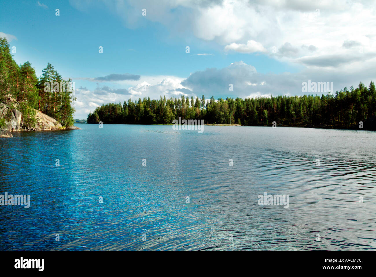 landscape with lake and forest in the region Saimaa in Finland Stock ...
