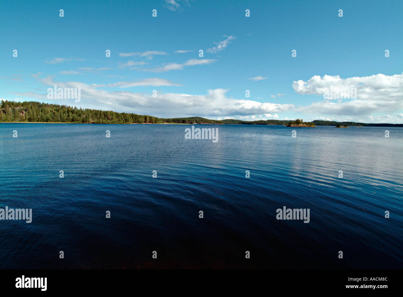 landscape with lake and forest in the region Saimaa in Finland Stock ...