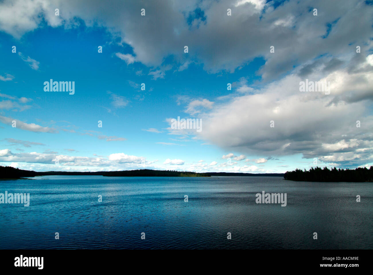 landscape with sky lake and forest in the region Saimaa in Finland ...
