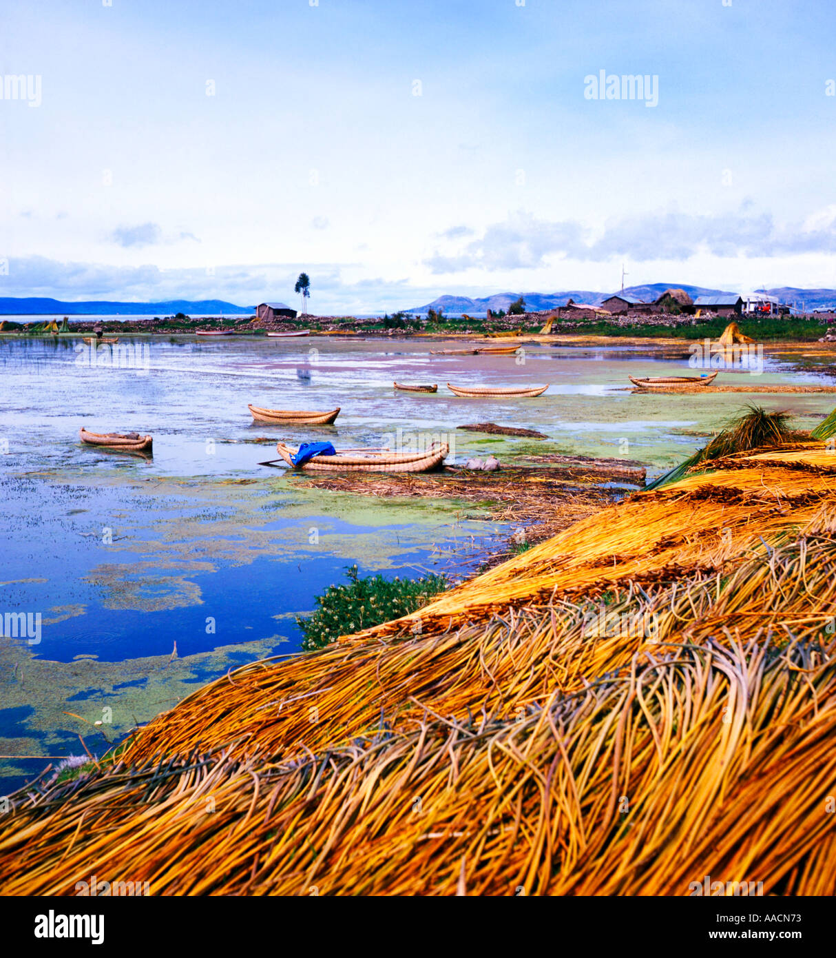 Reed boats hi-res stock photography and images - Alamy