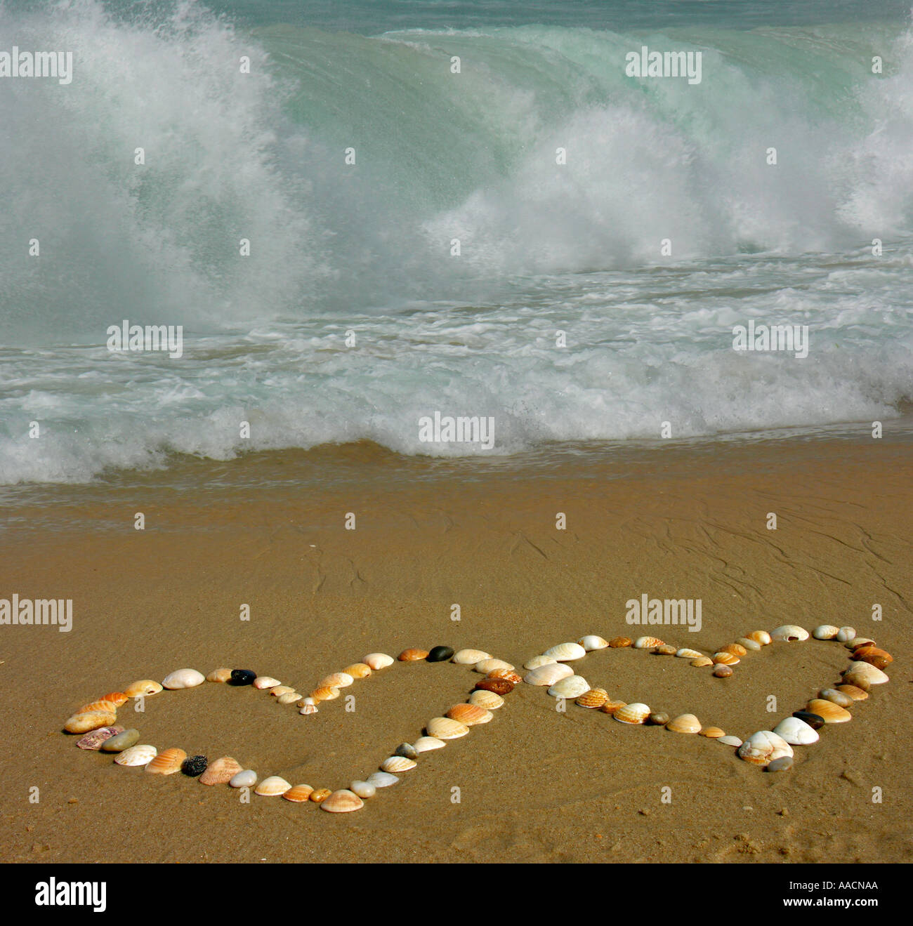 Heart made shells on beach hi-res stock photography and images - Alamy
