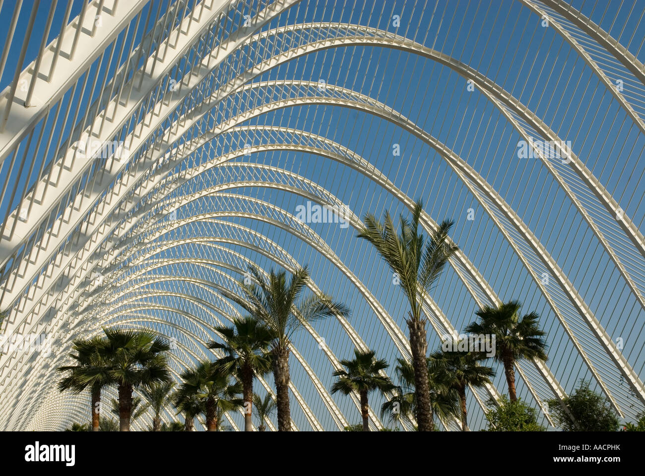 Umbracle, Ciudad de las Artes y de las Ciencias (City of Arts and ...