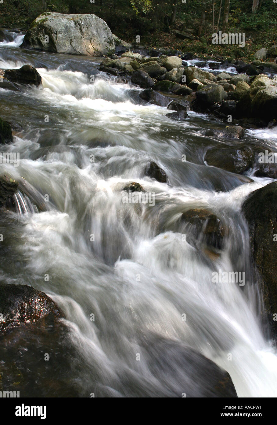 brook with stones an floating water Stock Photo - Alamy