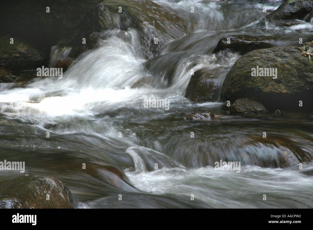 brook with stones an floating water Stock Photo - Alamy