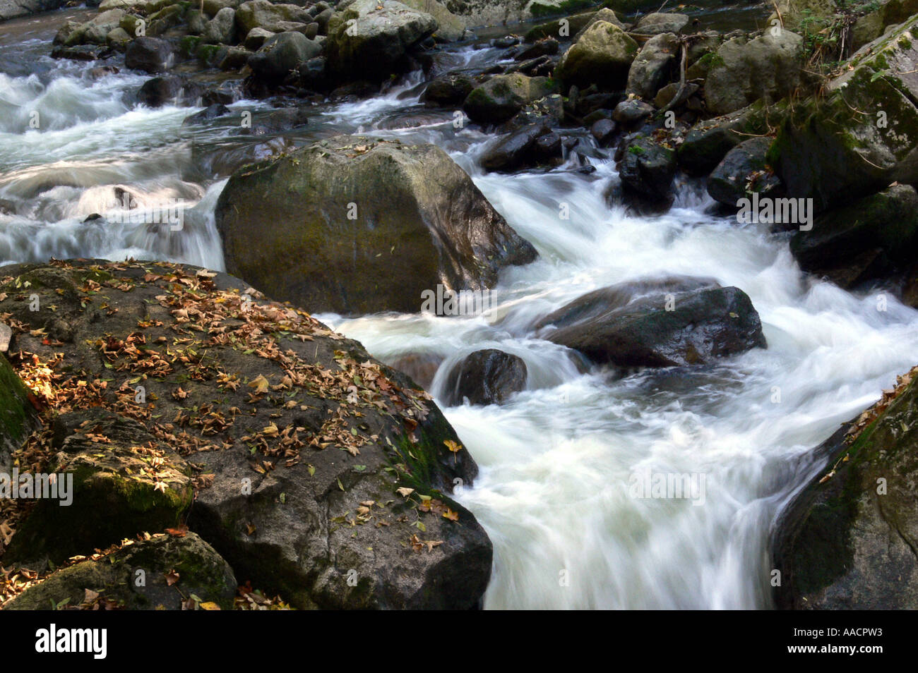 brook with stones an floating water Stock Photo - Alamy