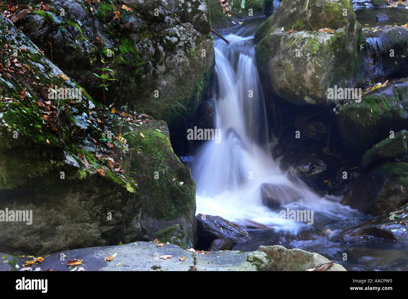 brook with stones an floating water Stock Photo - Alamy