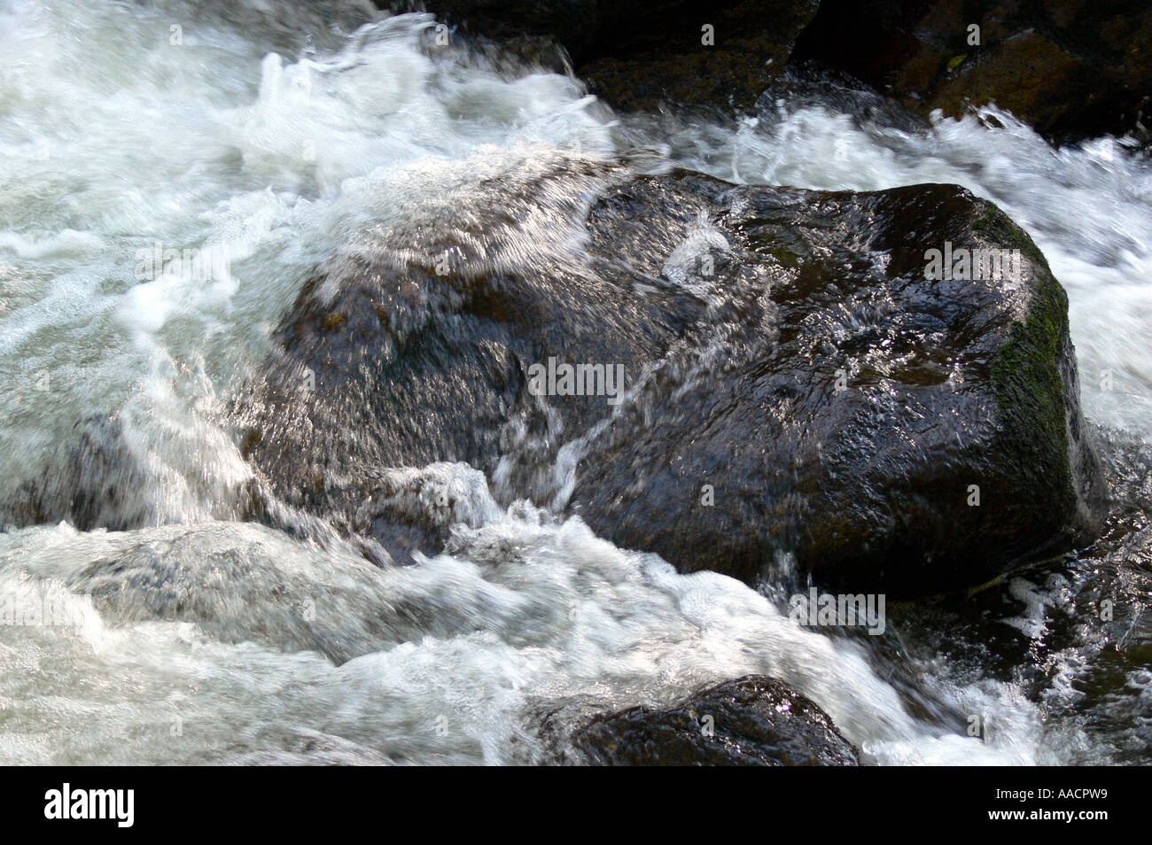 brook with stones an floating water Stock Photo - Alamy