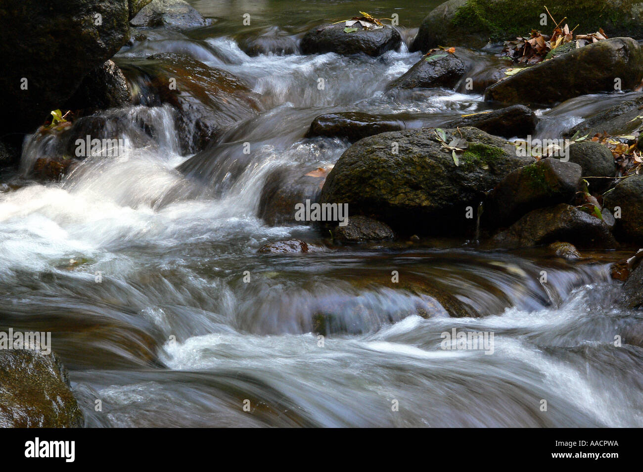 brook with stones an floating water Stock Photo - Alamy