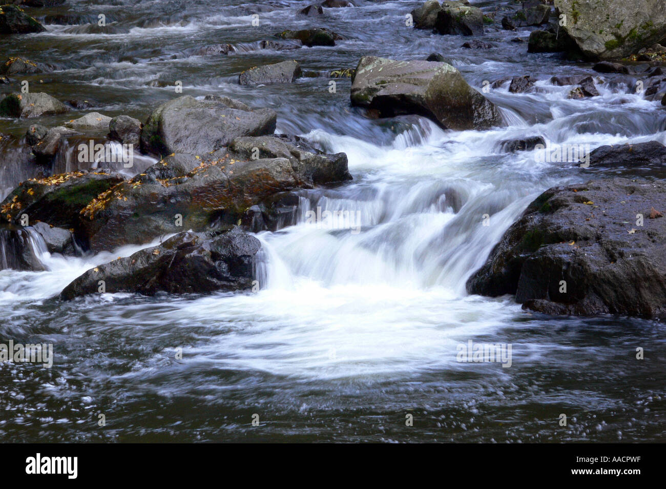 brook with stones an floating water Stock Photo - Alamy