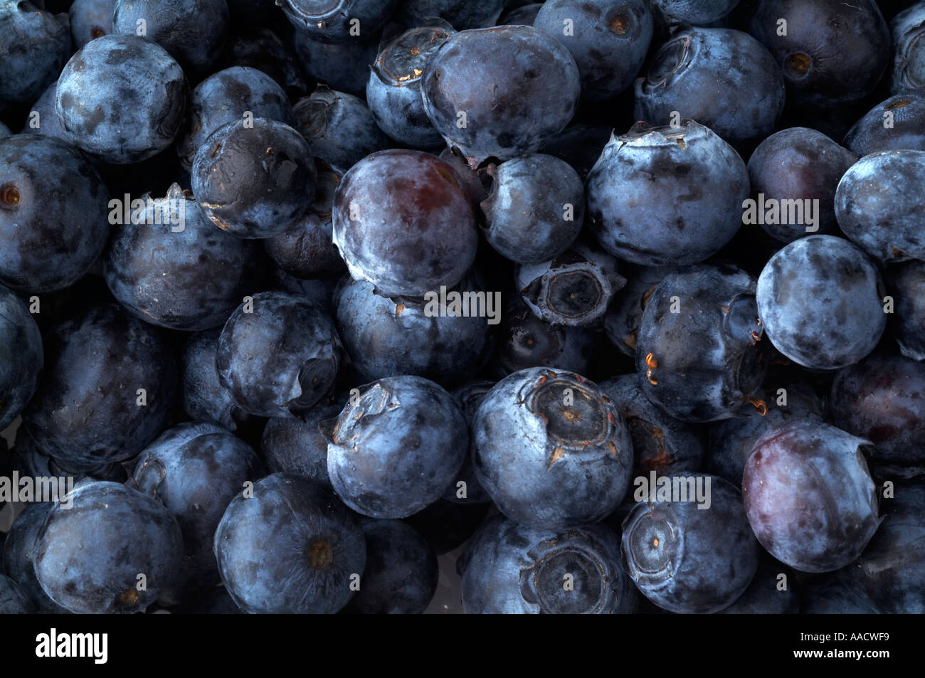 blue berry blueberry blueberries blueberrys Berry berries fruit health ...