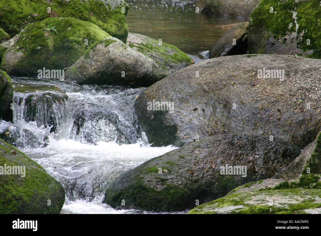Brook with flowing water and stones Stock Photo - Alamy