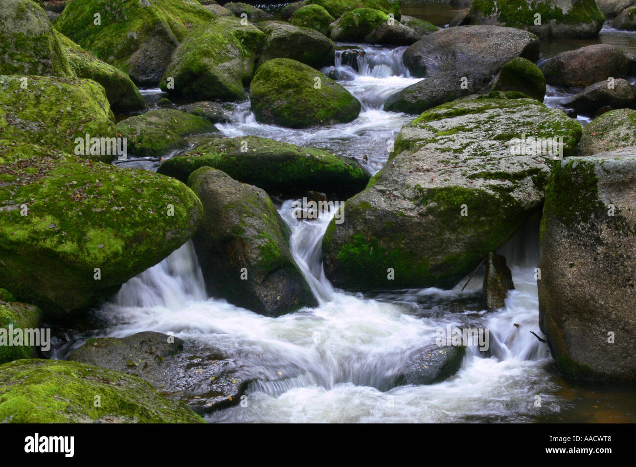 Retaining moisture hi-res stock photography and images - Alamy