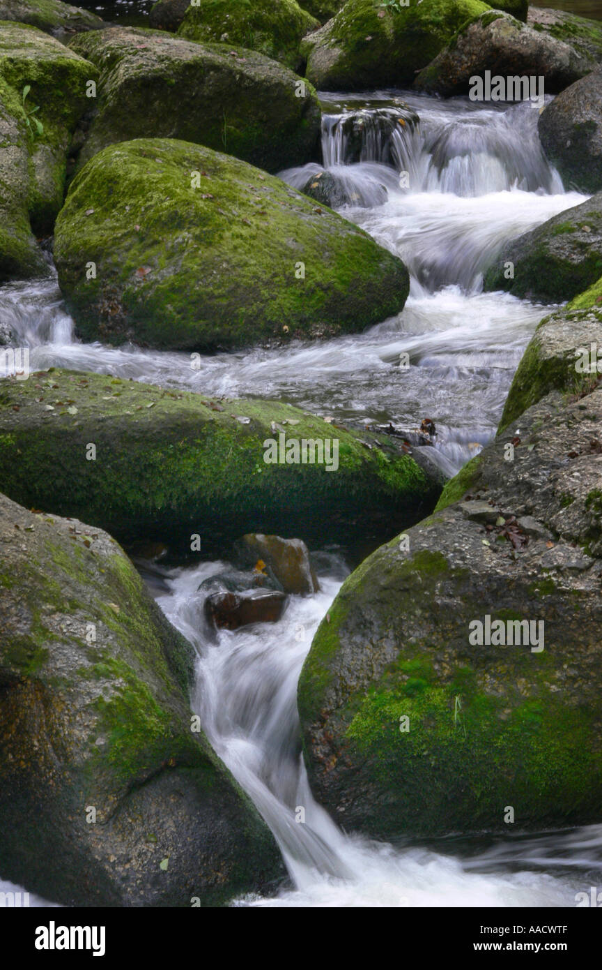 Retaining moisture hi-res stock photography and images - Alamy