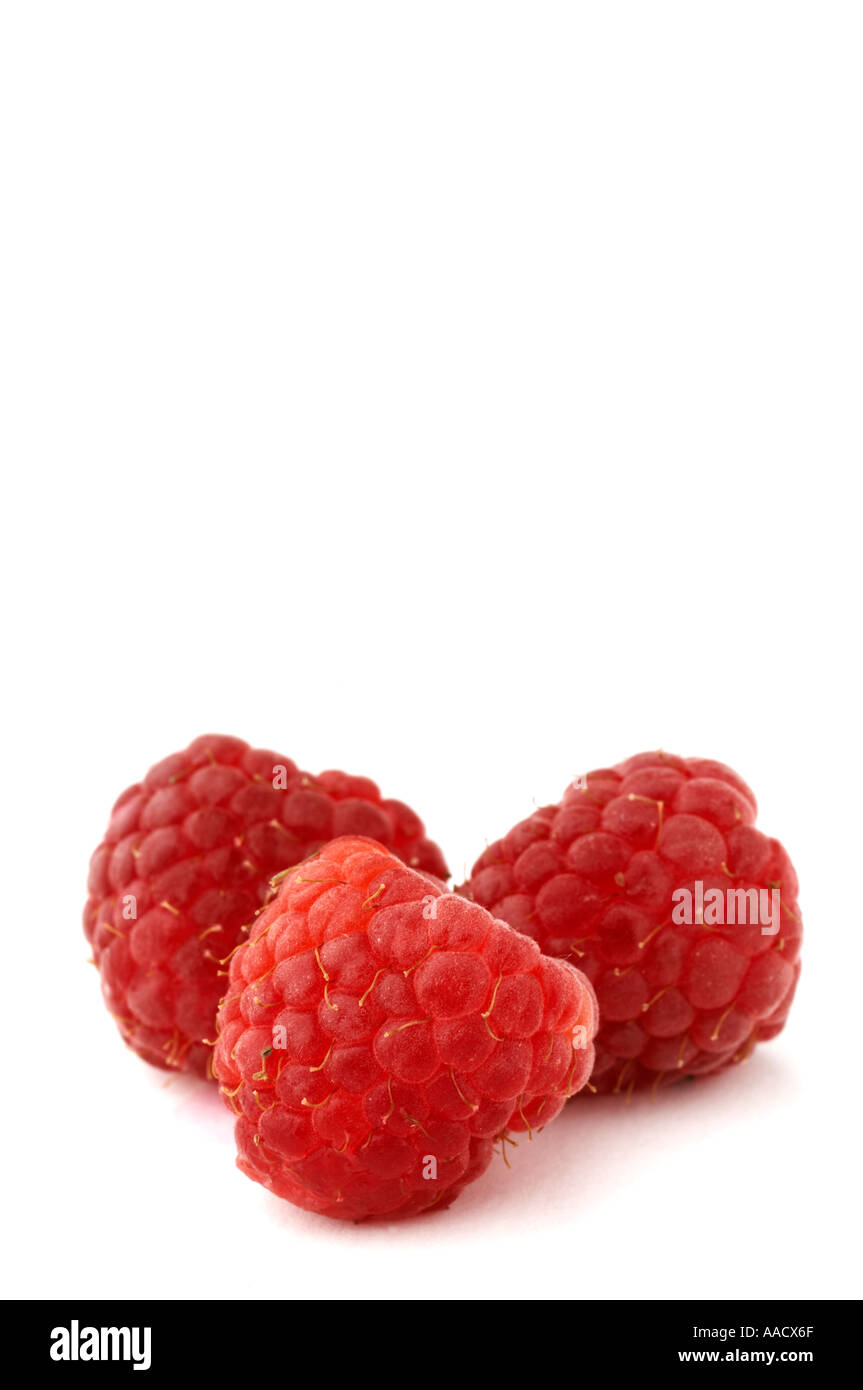 raspberry Berry berries fruit health healthy living diet vitamins ...