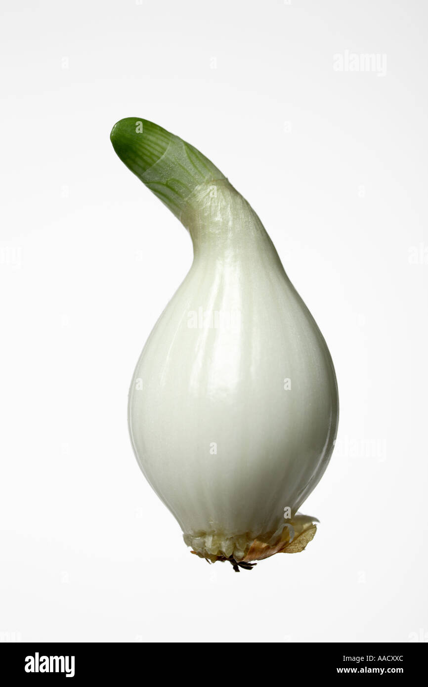 Germed hi-res stock photography and images - Alamy