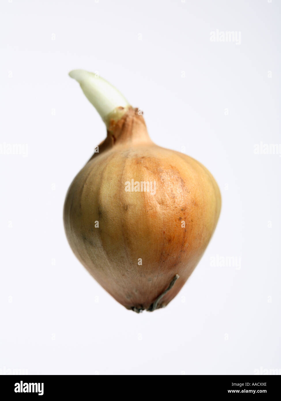 Germed hi-res stock photography and images - Alamy