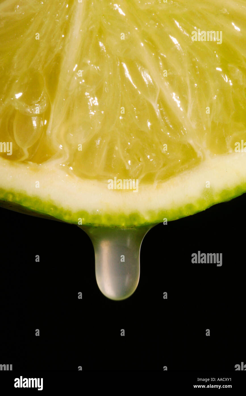 Sqashed hi-res stock photography and images - Alamy