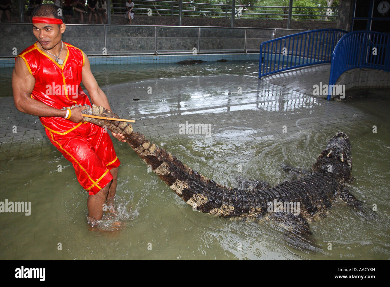 Crocodile Farm Pattaya Thailand Stock Photo - Alamy