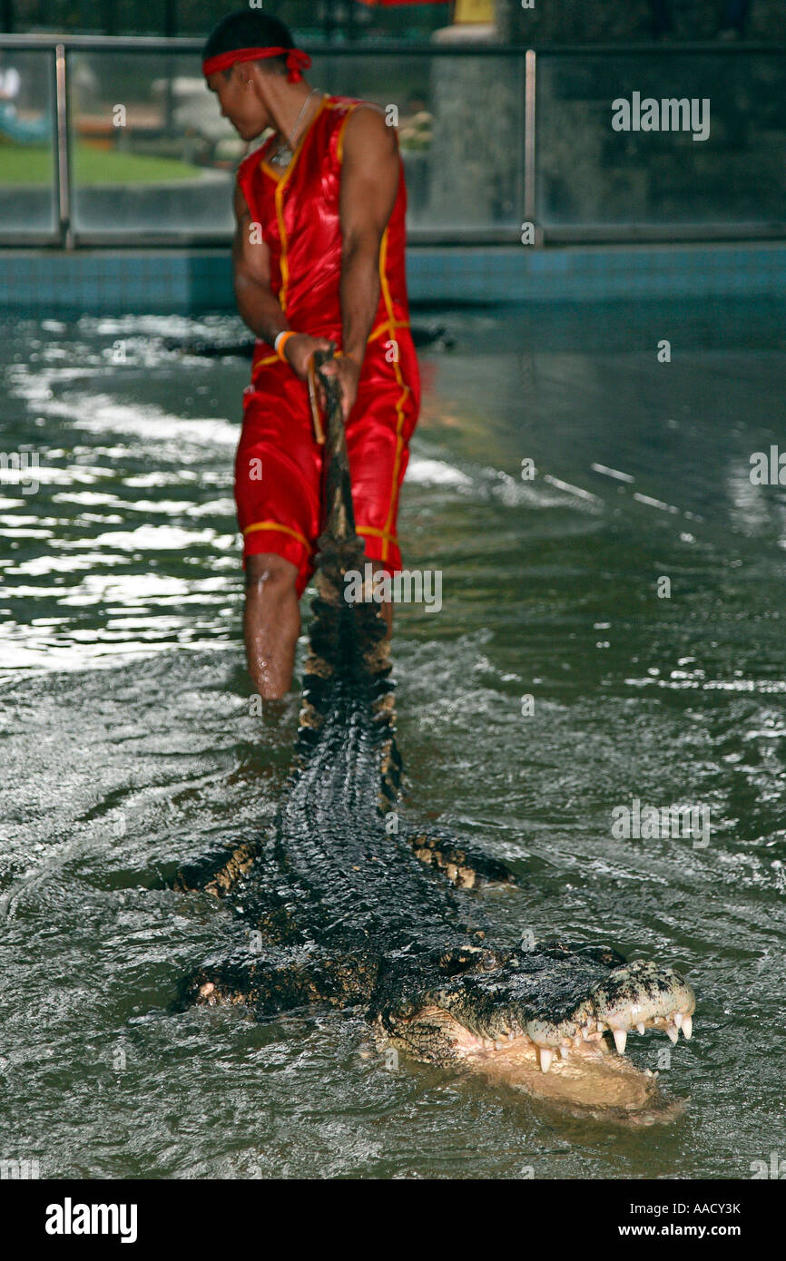 Crocodile Farm Pattaya Thailand Stock Photo - Alamy