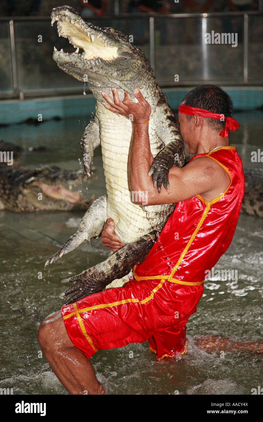 Crocodile Farm Pattaya Thailand Stock Photo - Alamy