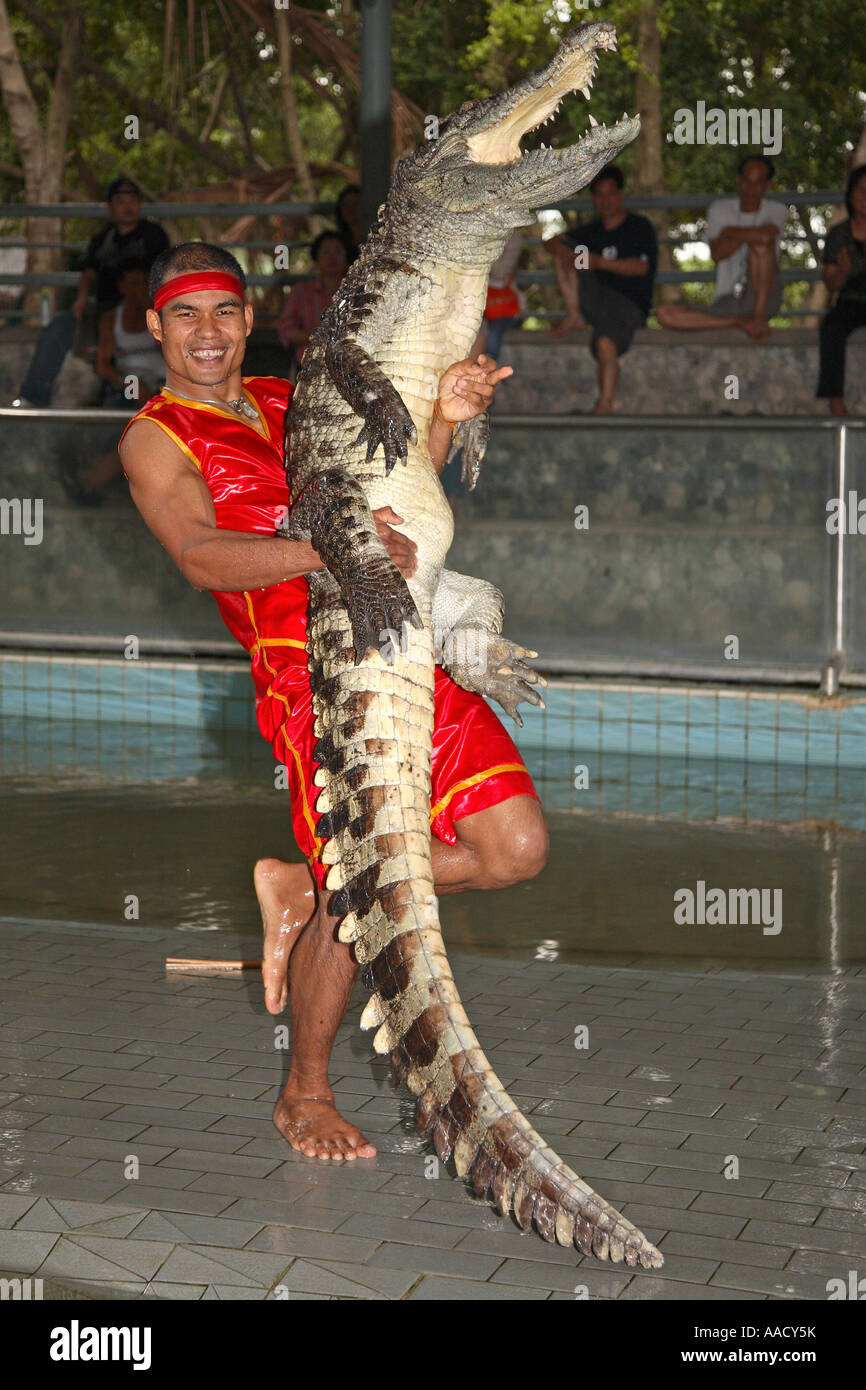Crocodile Farm Pattaya Thailand Stock Photo - Alamy