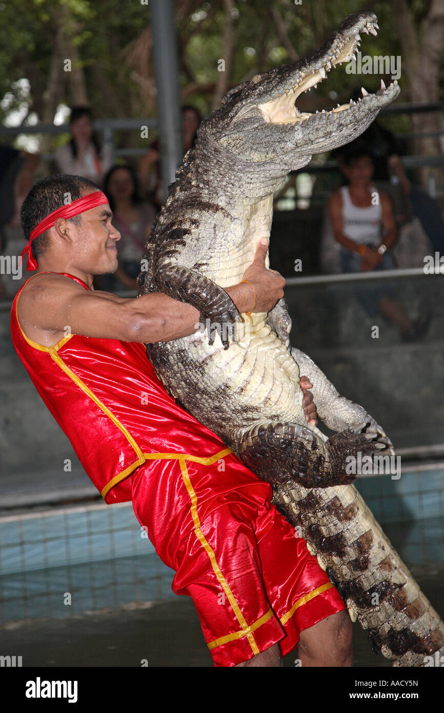 Crocodile Farm Pattaya Thailand Stock Photo - Alamy