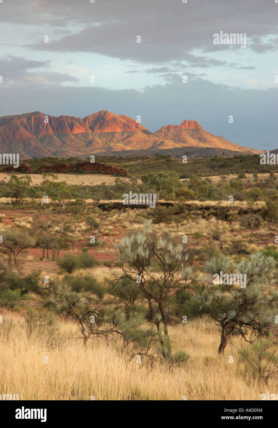 Mount Sonder in West MacDonnell National Park Northern Territory ...