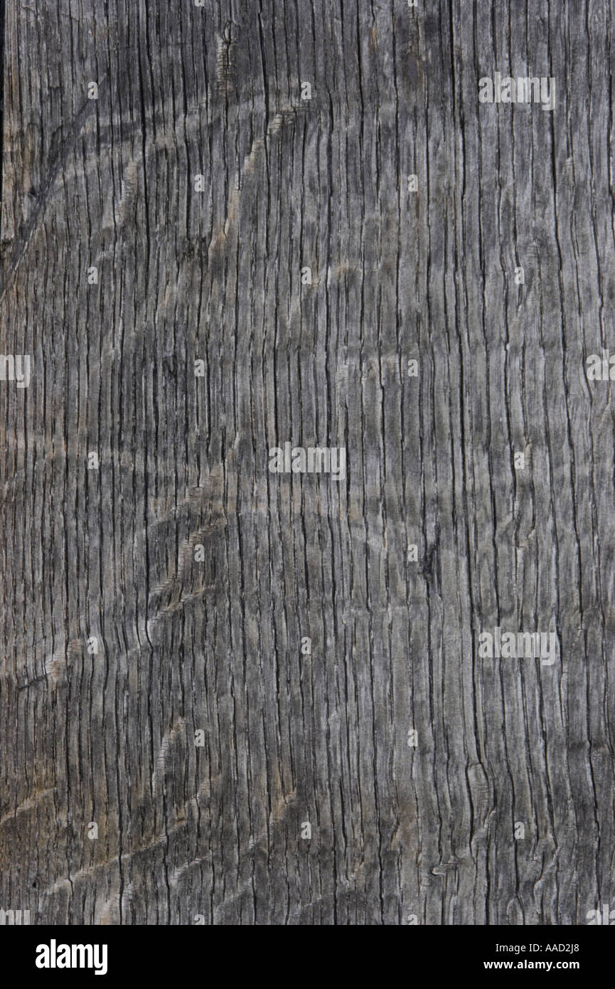 structure of a plank Stock Photo - Alamy
