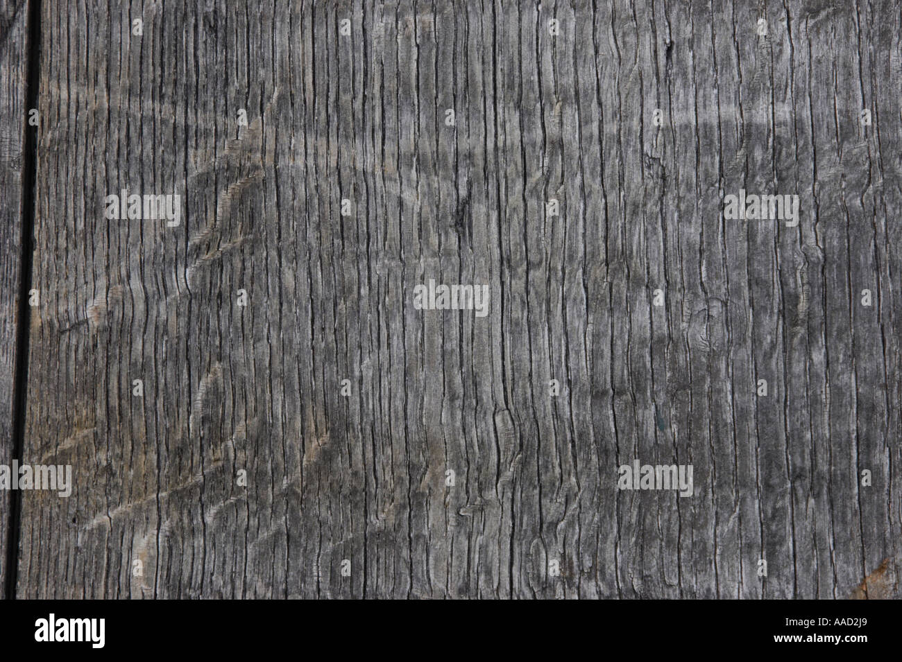 structure of a plank Stock Photo - Alamy