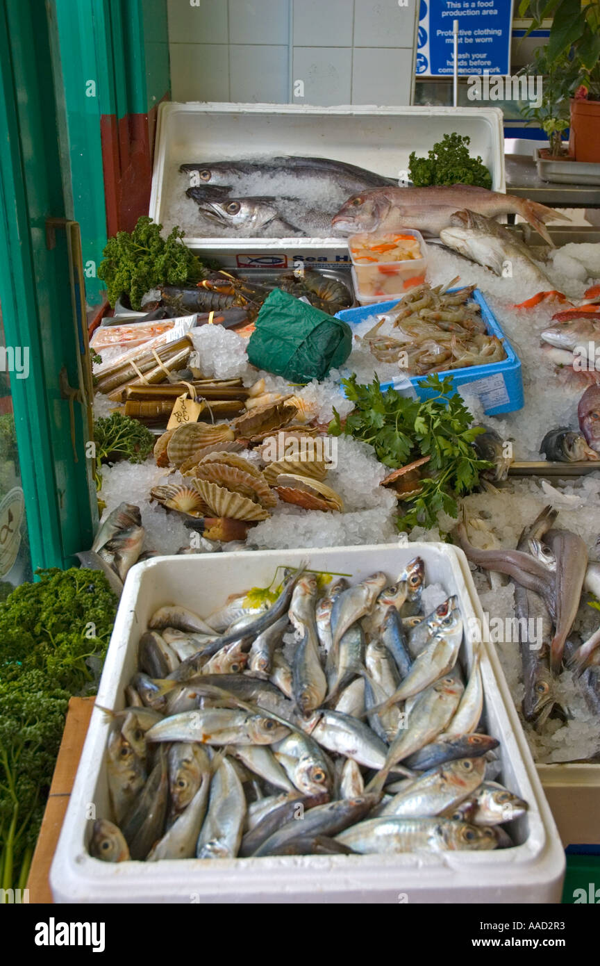 Seafood at Golborne Road market London England UK Stock Photo - Alamy