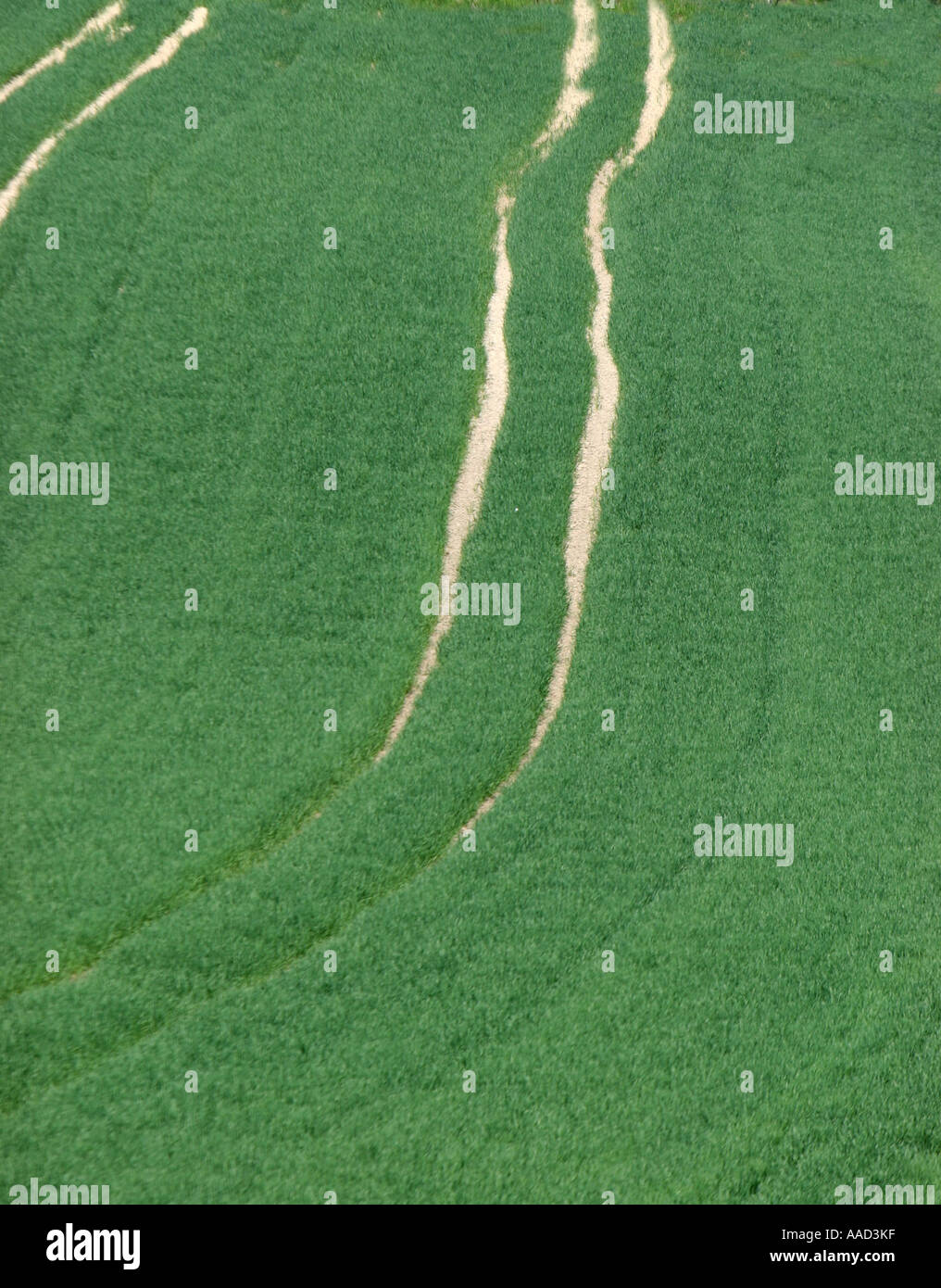 track of a tractor in a green field Stock Photo - Alamy