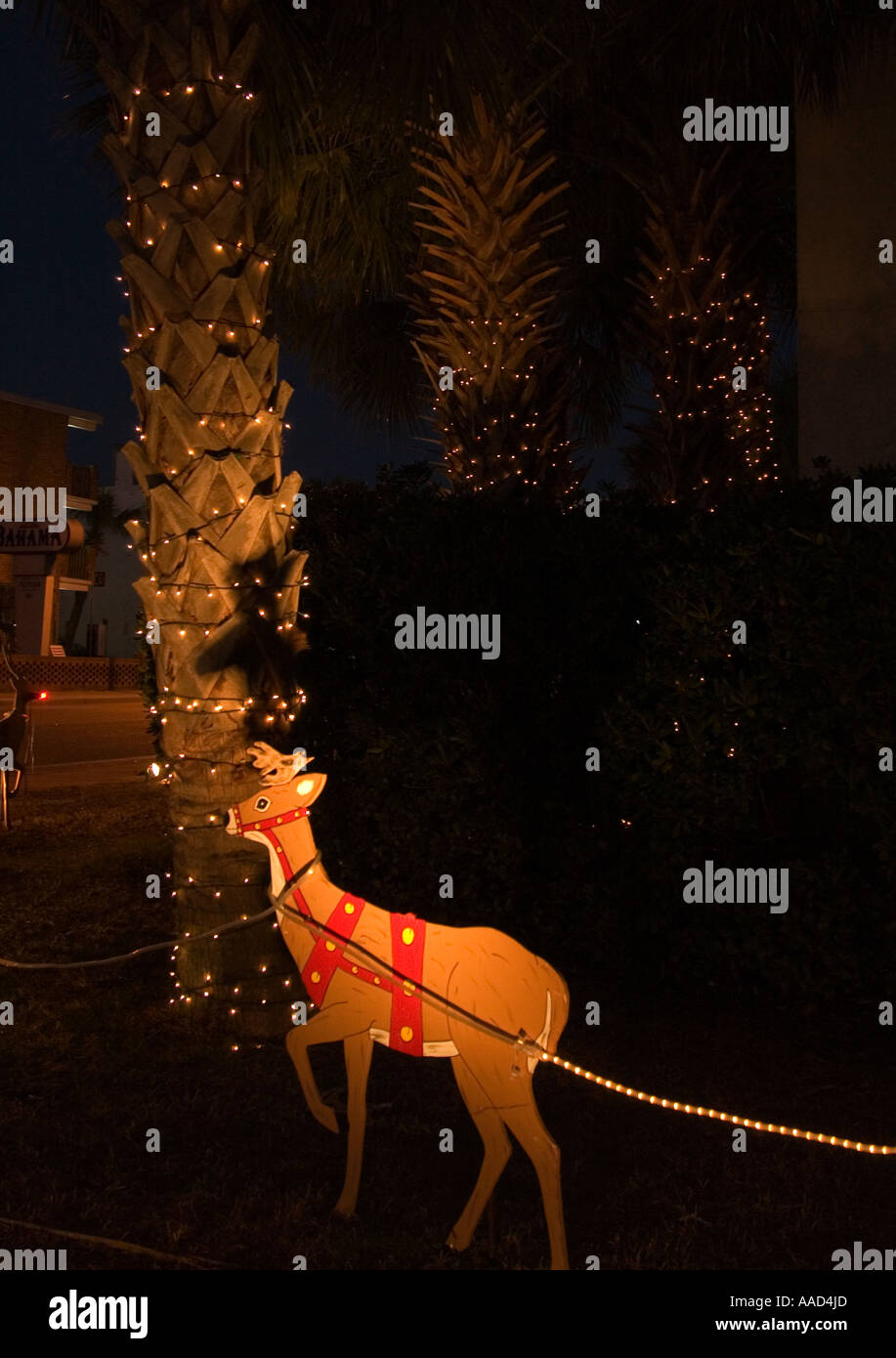 Lighted reindeer display hi-res stock photography and images - Alamy
