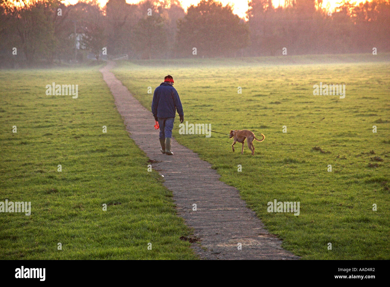Man Walking Dog Stock Photo - Alamy