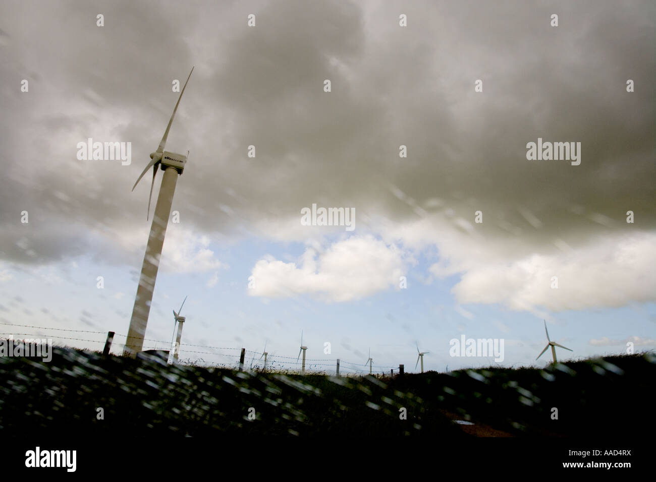 Four Burrows Wind Farm Truro in a corn field farm land during Gale ...